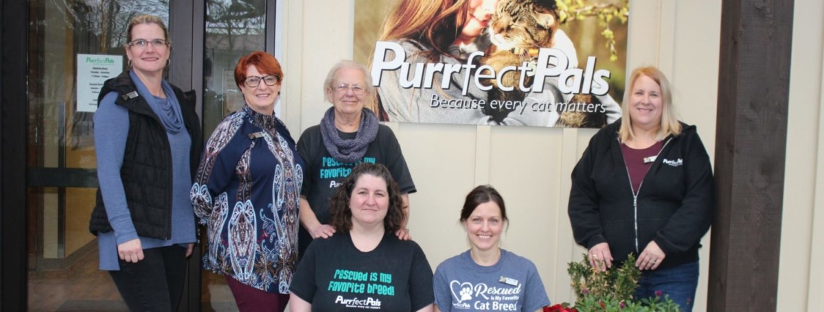 Career Opportunities • Purrfect Pals